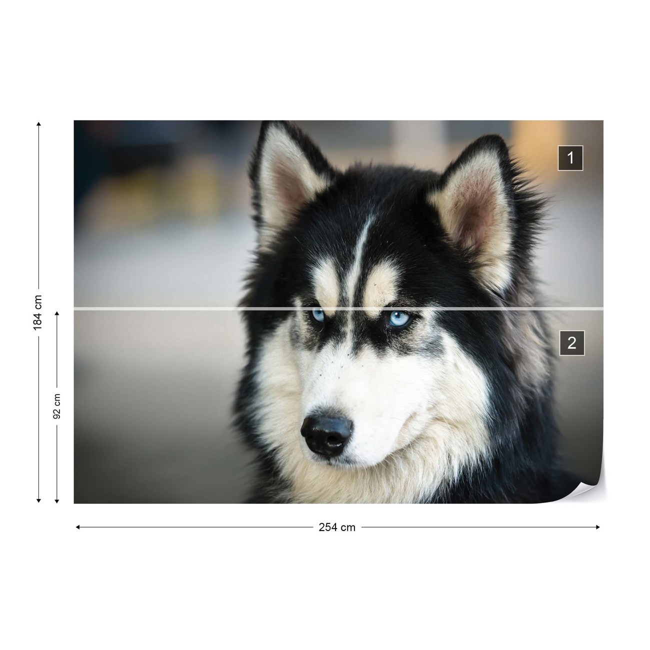 Wolf Wall Paper Mural | Buy at EuroPosters