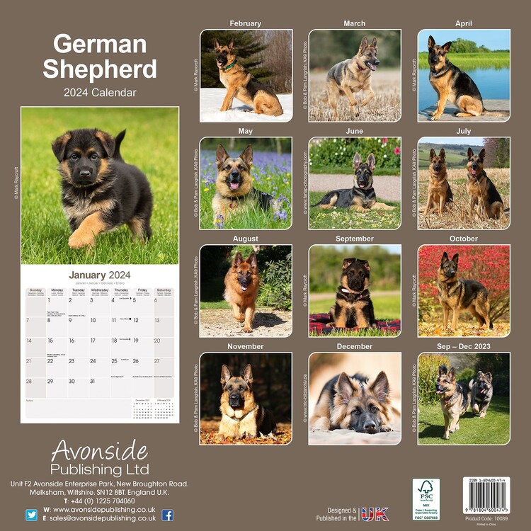 German Shepherd Calendars