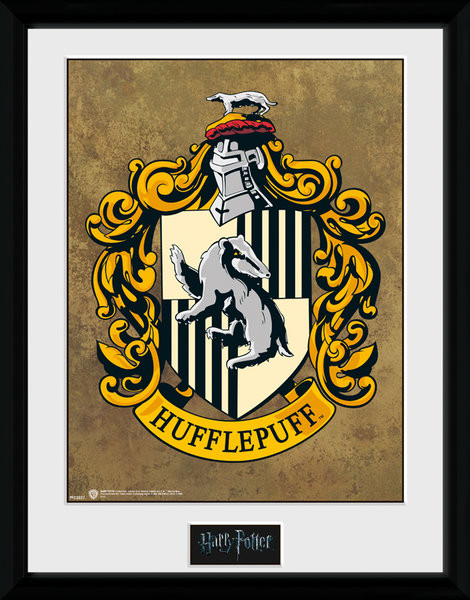 Hufflepuff harry potter store