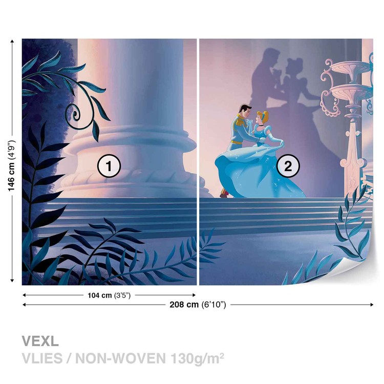 Disney Princesses Cinderella Wall Paper Mural | Buy at EuroPosters