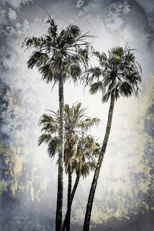Palm trees Posters & Wall Art Prints | Buy Online at UKposters.co.uk