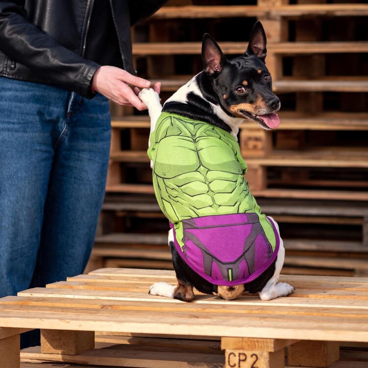 Dog clothes Avengers - Hulk | Tips for original pet gifts | Europosters