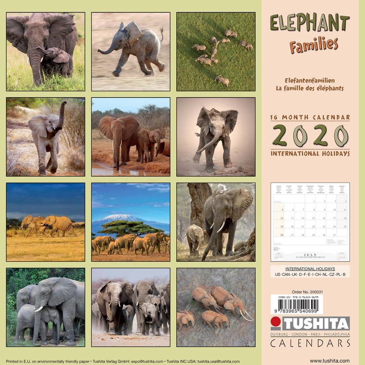 Elephant Families - Calendars 2021 on UKposters/UKposters