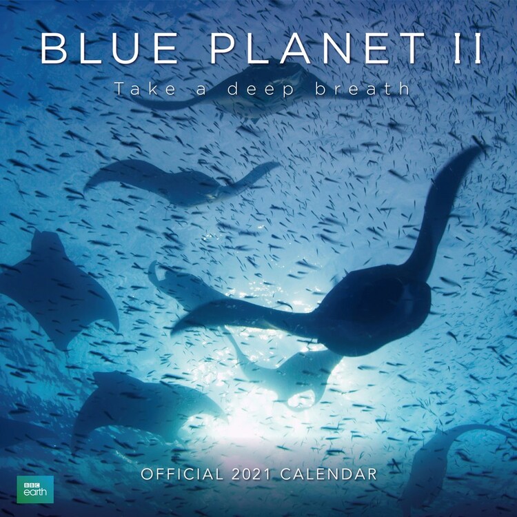 BBC - Blue Planet - Wall Calendars 2021 | Buy at Europosters