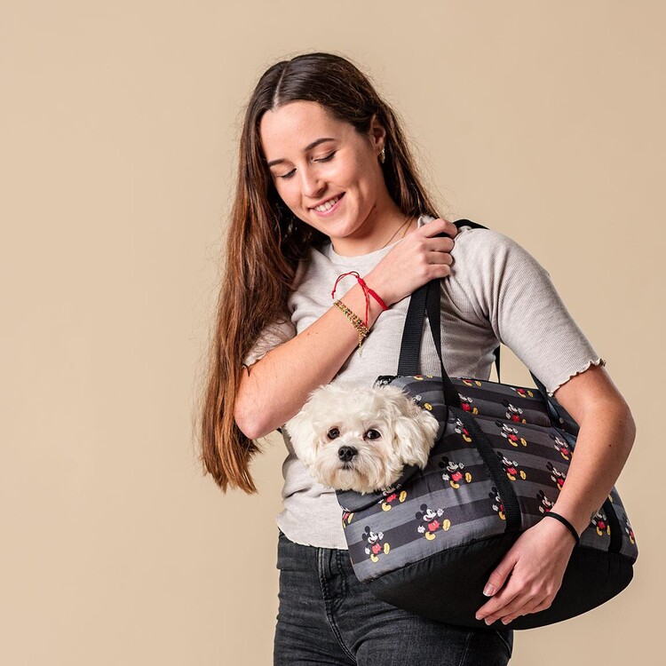 Dog accessories Dog carrier Mickey Mouse | Tips for original pet gifts