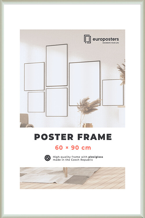 Poster frame 40x60 cm - Frame for your poster | Europosters