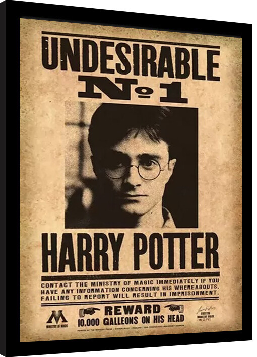 Harry Potter - Undesirable No. 1 Framed poster | Buy at Europosters