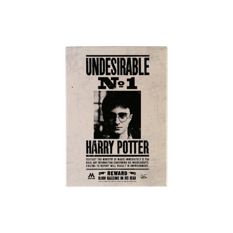 Magnet Harry Potter - Undesirable No.1 | Tips for original gifts