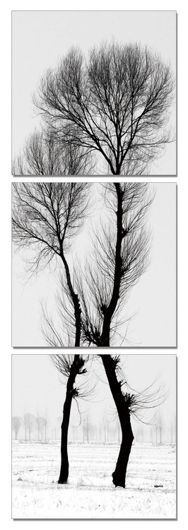 Modern design - black and white tree Mounted Art Print | Buy at EuroPosters
