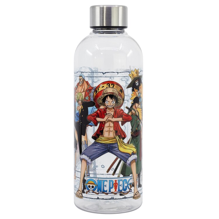 Bottle One Piece - Anime | Tips for original gifts