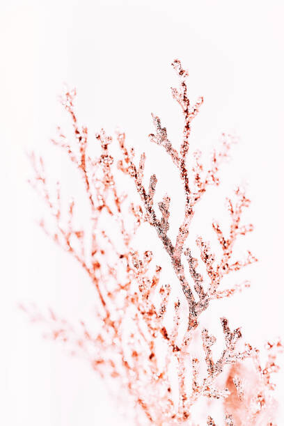 Poster, Quadro Gold Close-Up Brunch Christmas ornament- Regional ...