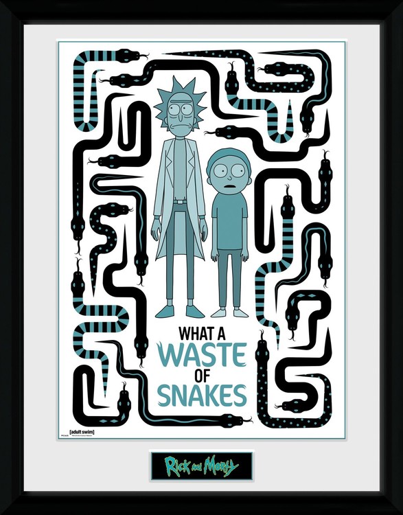 Rick & Morty - Waste of Snakes Framed poster | Buy at Europosters