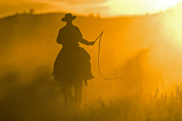 Wall Art Print | Silhouette of Cowboy at Sunset, Darrell Gulin ...