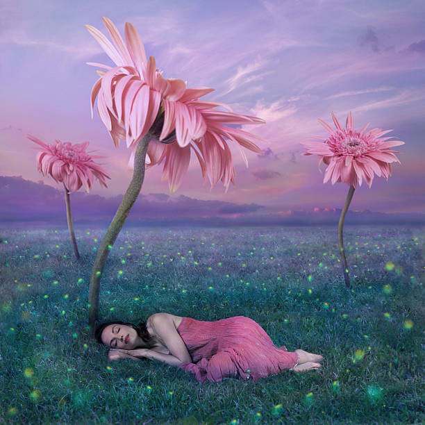 Wall Art Print | Sleeping in nature, draganab | Europosters