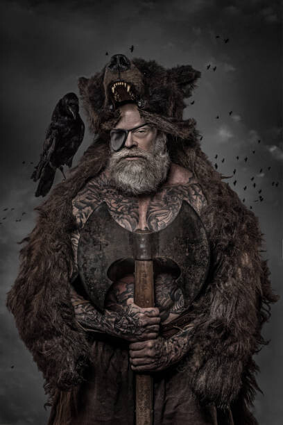 Viking Man Costume