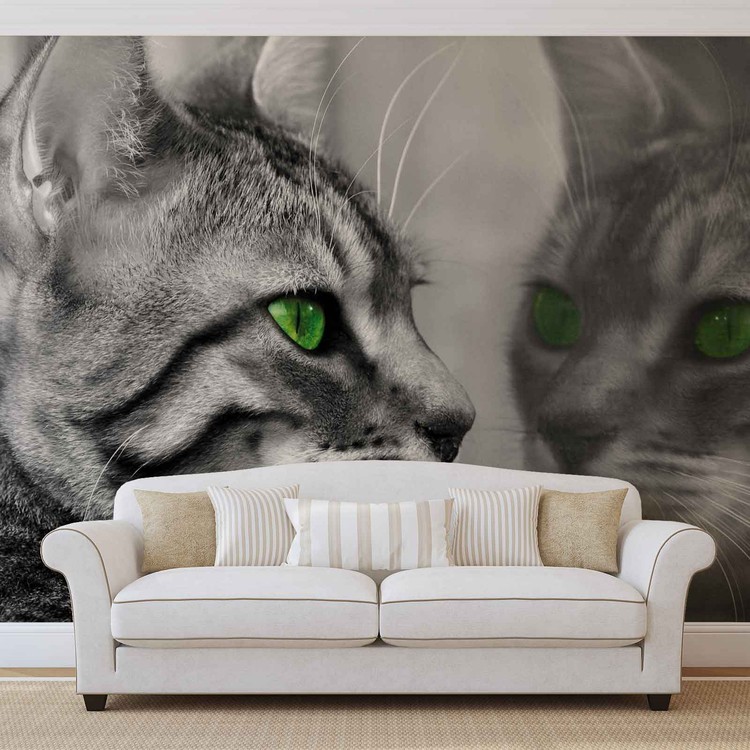 Cat Kitten Wall Paper Mural | Buy at EuroPosters