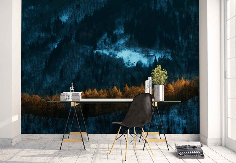 Defensive Line Wall Paper Mural | Buy at EuroPosters