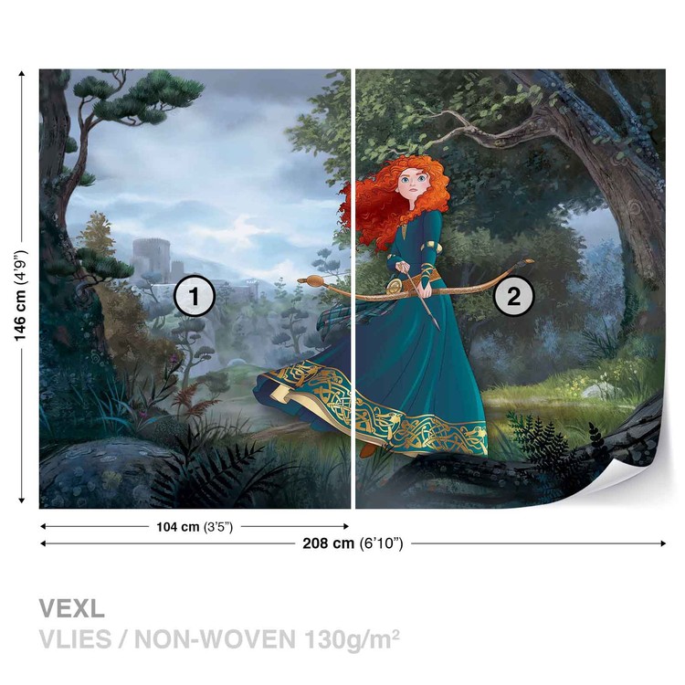 Disney Princesses Merida Brave Wall Paper Mural | Buy at EuroPosters