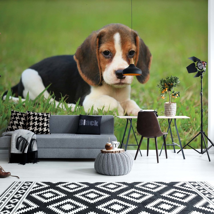 Dog Wall Paper Mural | Buy at EuroPosters