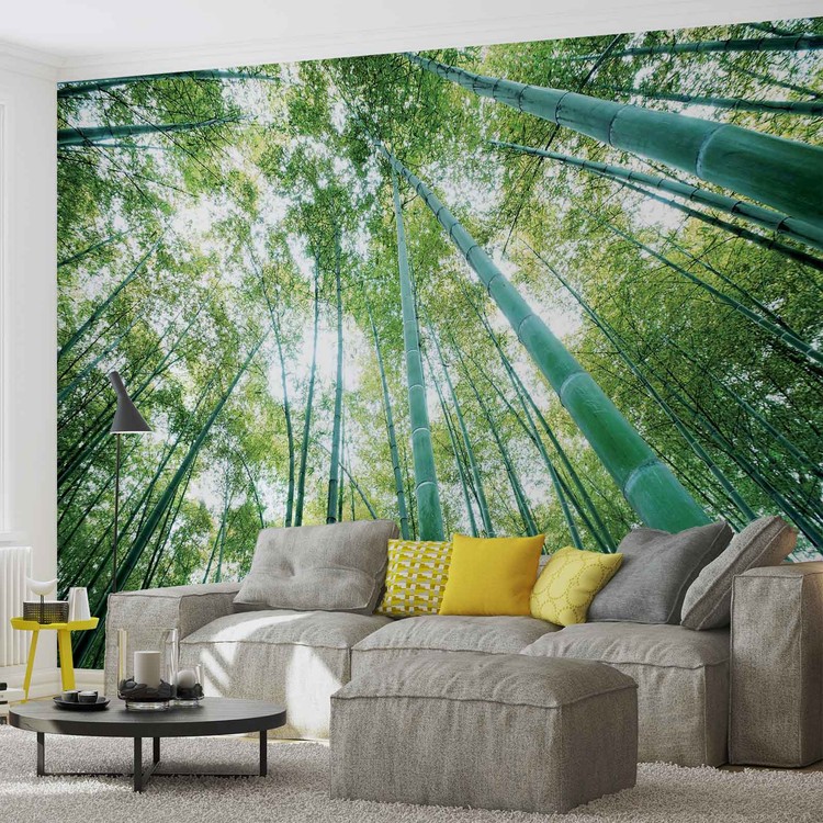 Forest Woods Wall Paper Mural | Buy at EuroPosters
