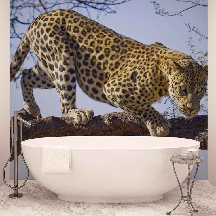 Leopard Tree Wall Paper Mural | Buy at EuroPosters