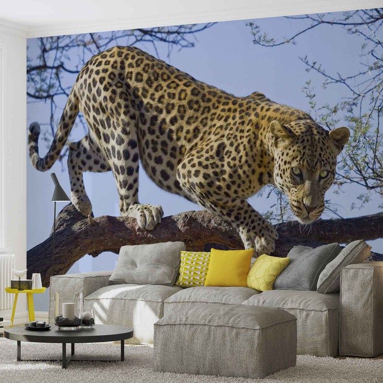 Leopard Tree Wall Paper Mural | Buy at EuroPosters