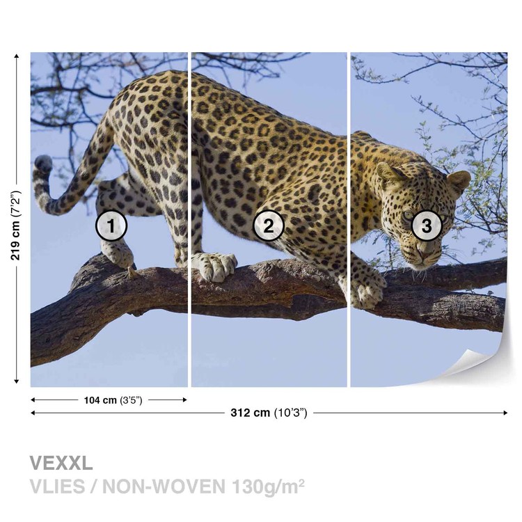 Leopard Tree Wall Paper Mural | Buy at EuroPosters