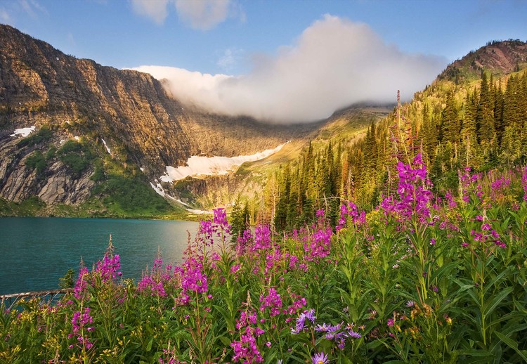 Nature's Glory Wall Paper Mural | Buy at EuroPosters