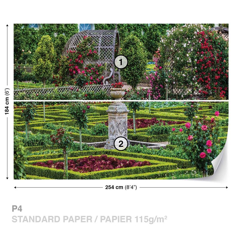 Rose Garden Wall Paper Mural | Buy at EuroPosters