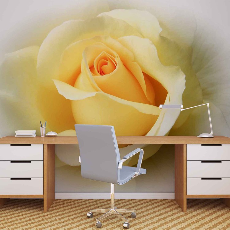 Yellow Rose Wall Paper Mural | Buy at EuroPosters