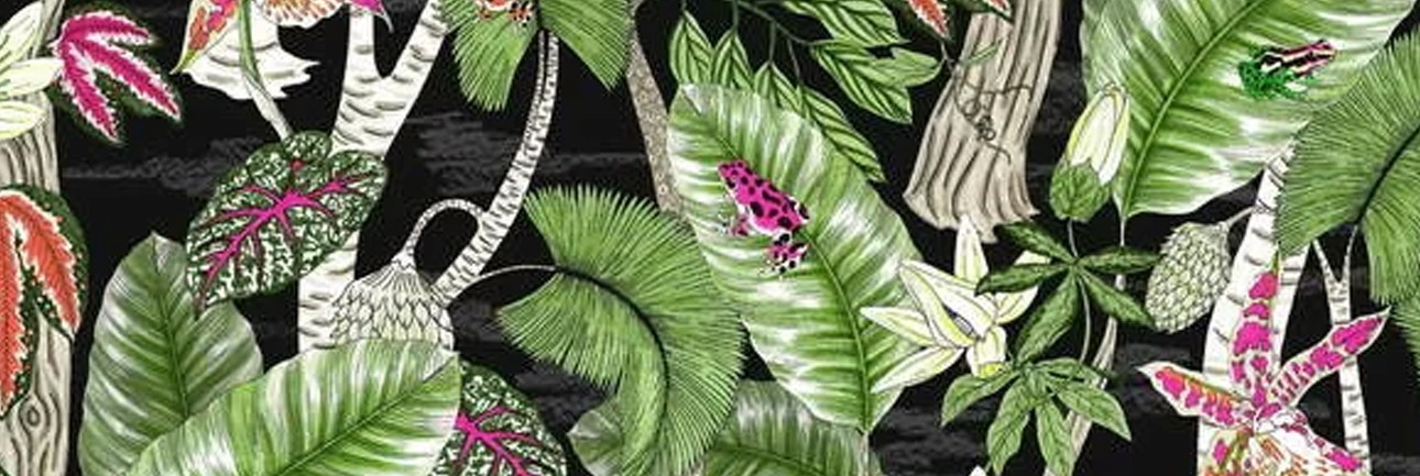 Jacqueline Colley Posters & Wall Art Prints | Buy Online at UKposters.co.uk